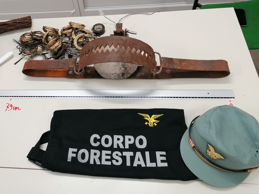 Non si ferma il contrasto al bracconaggio del Corpo forestale nel Sud ...